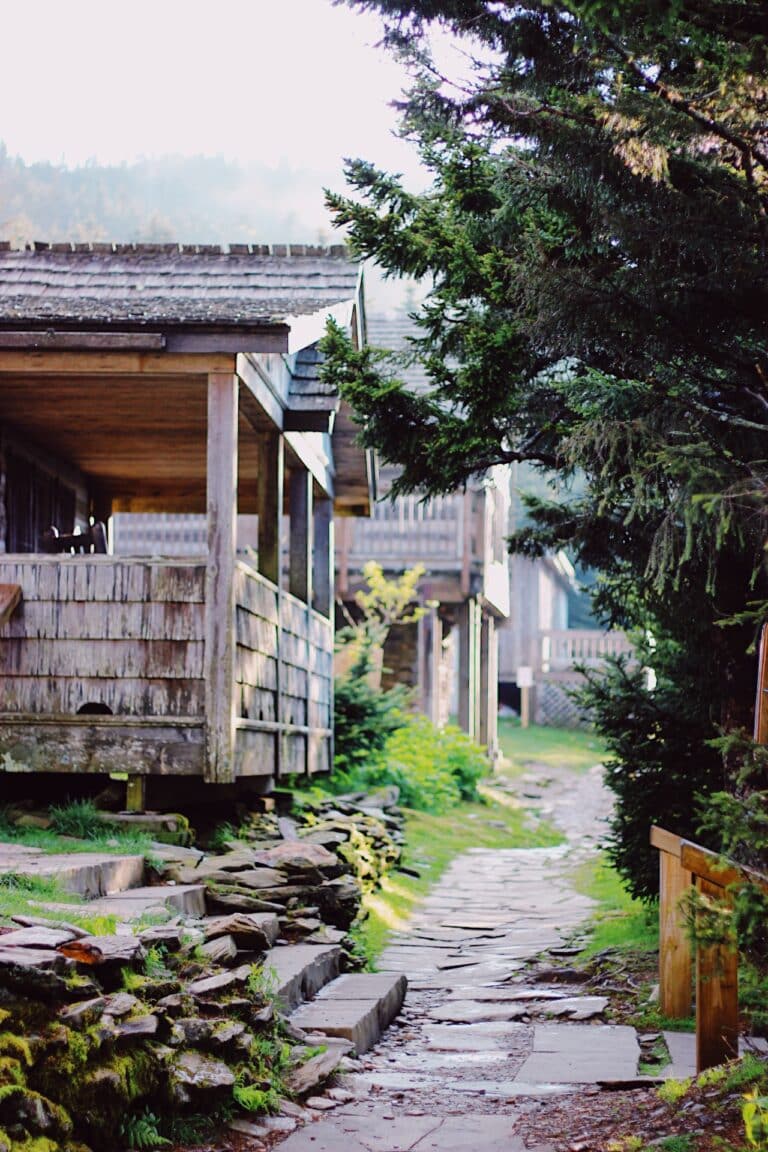Adventure Awaits: Climbing Mt. LeConte - American Girl Meets World